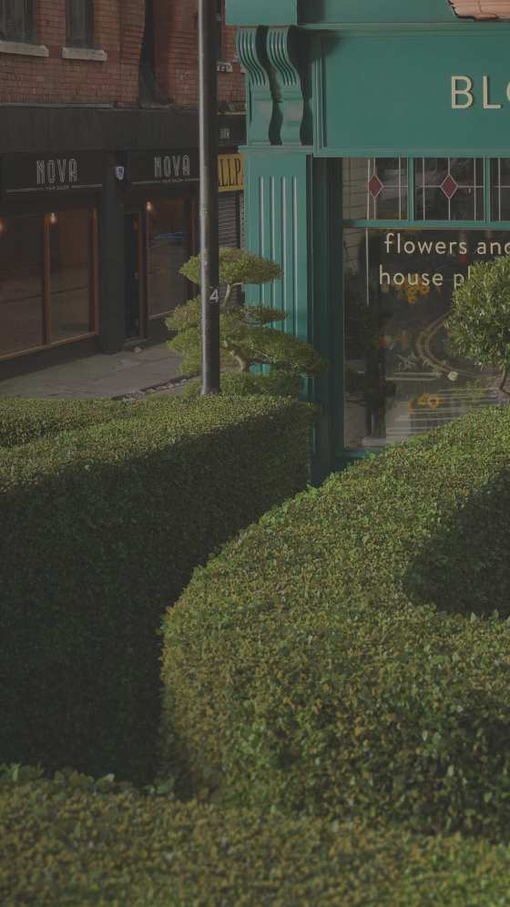 Aviva Business | Insurance, Pensions & Protection - Aviva