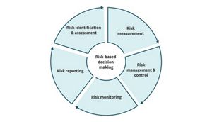 Risk management processes - Aviva plc