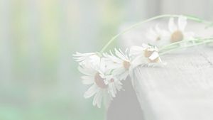 Accidental Death Insurance - Aviva