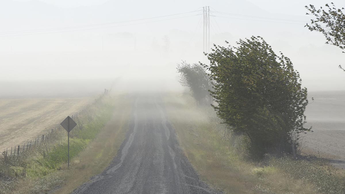 How To Stay Safe When Driving In High Winds Aviva Ireland