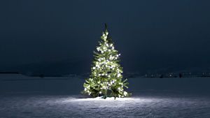 Spot the difference - Aviva Ireland